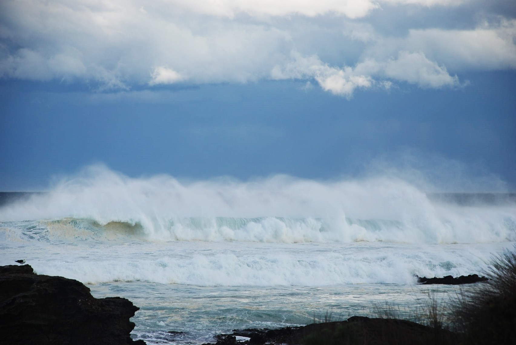 Brighton Storm
