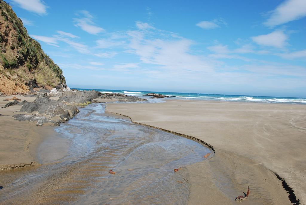 Cannibal Bay – Catlins