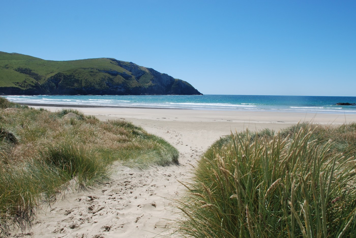 Cannibal Bay – Catlins